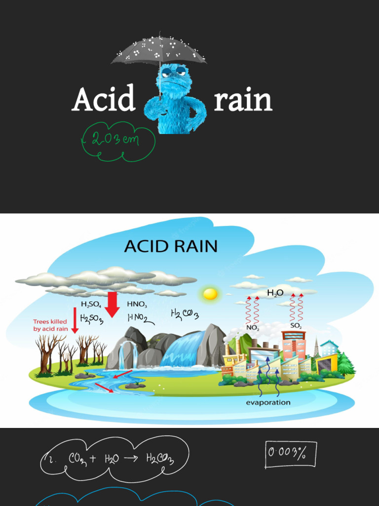 19 Acid Rain | PDF