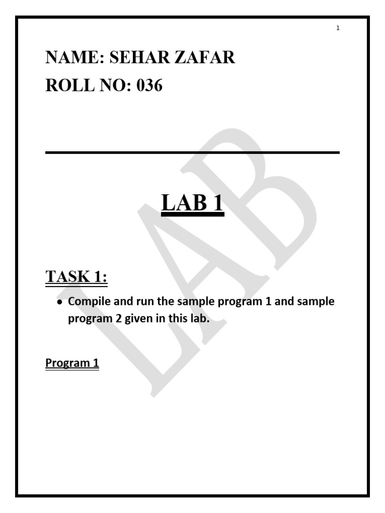 Lab 1 Pdf 