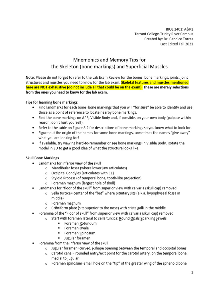 Mnemonics and Memory Tips For Skeletal System and Muscles-1 | PDF ...