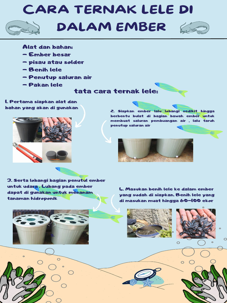 Cara Ternak Lele dalam Ember | PDF