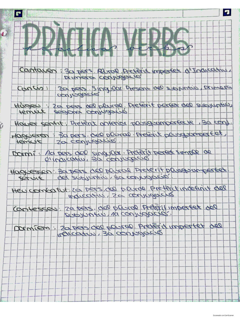 Pràctica Verbs | PDF