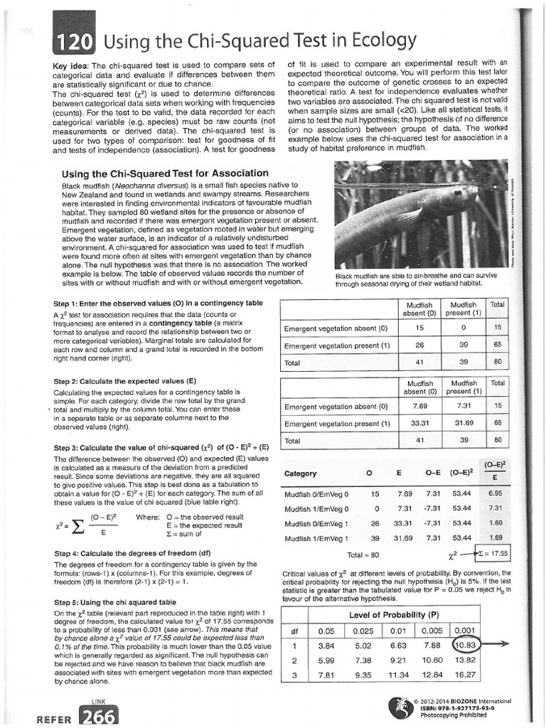 Chi-Squared Test For Independence Worksheet | PDF