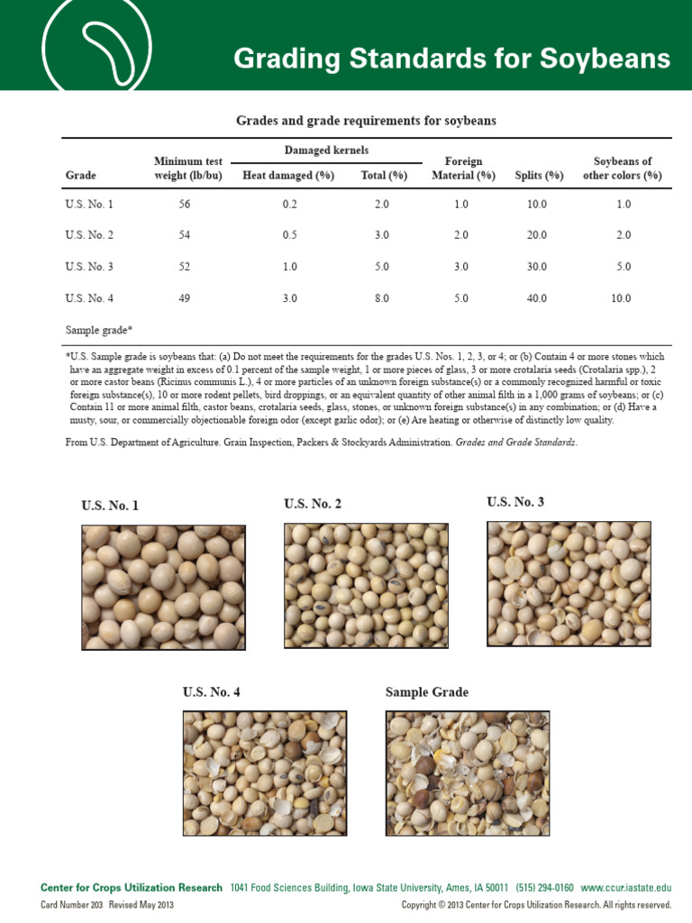 Soya Grade | PDF | Soybean | Seed