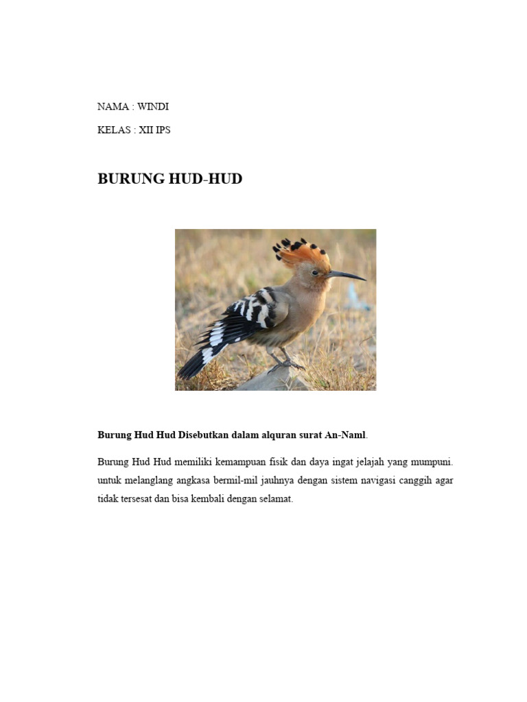 Burung Hud Hud WINDI | PDF
