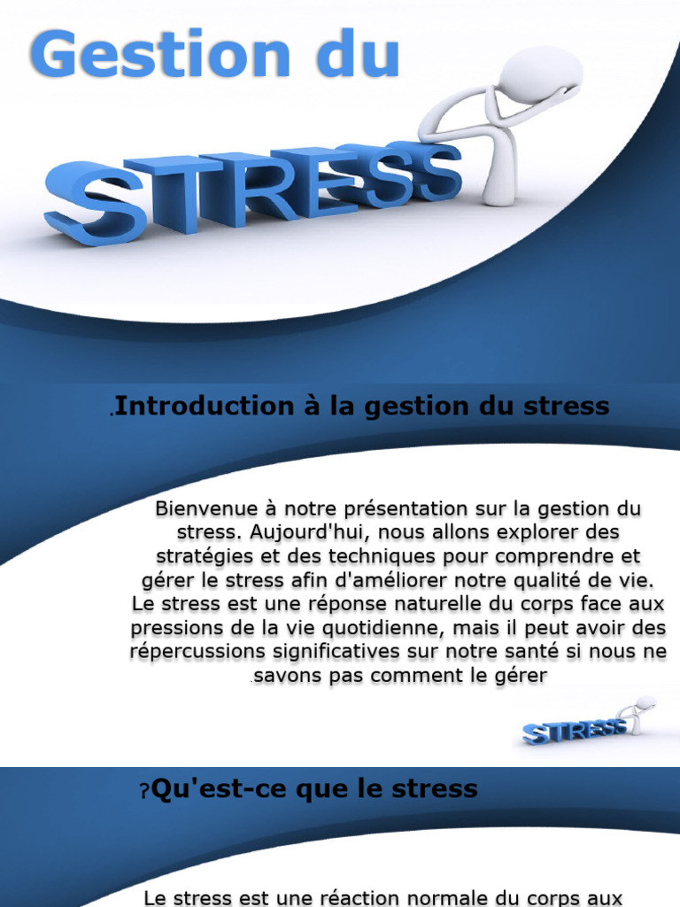 Gestion Du Stress | PDF