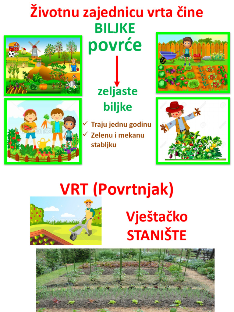 MO VRT - Povrtnjak PDF | PDF