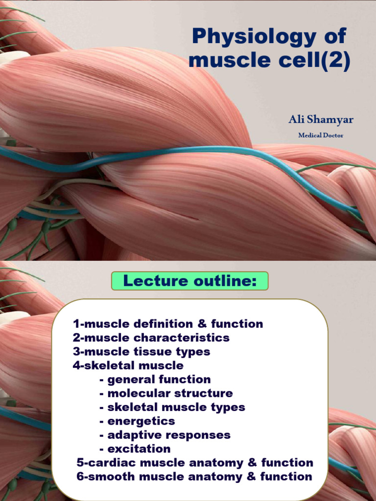 Muscle Cell Physiology Overview | PDF | Skeletal Muscle | Actin