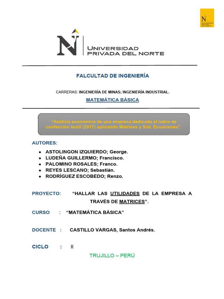 Proyecto t3 Mate | PDF | Matriz (Matemáticas) | Business