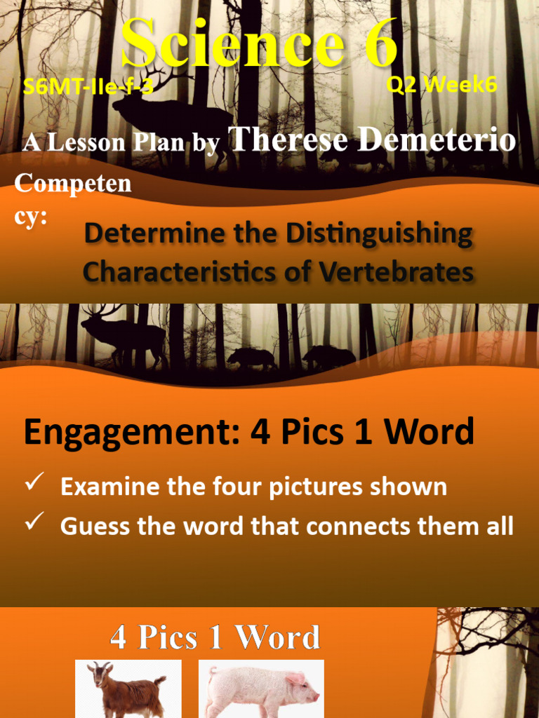 Characteristics of Vertebrates Lesson Plan | PDF | Reptile | Mammals