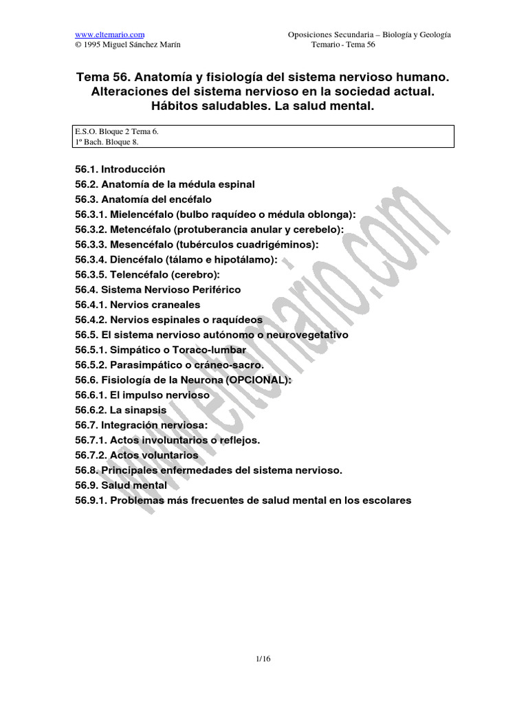 OSBGT56 | PDF | Sinapsis | Sistema nervioso