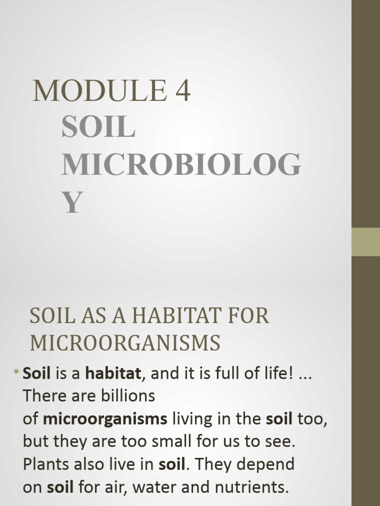 5212 67 131 MODULE 4 Soil Microbiology Introduction | PDF | Soil | Decomposition