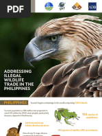 Endangered Species in the Philippines | PDF | Endangered Species ...