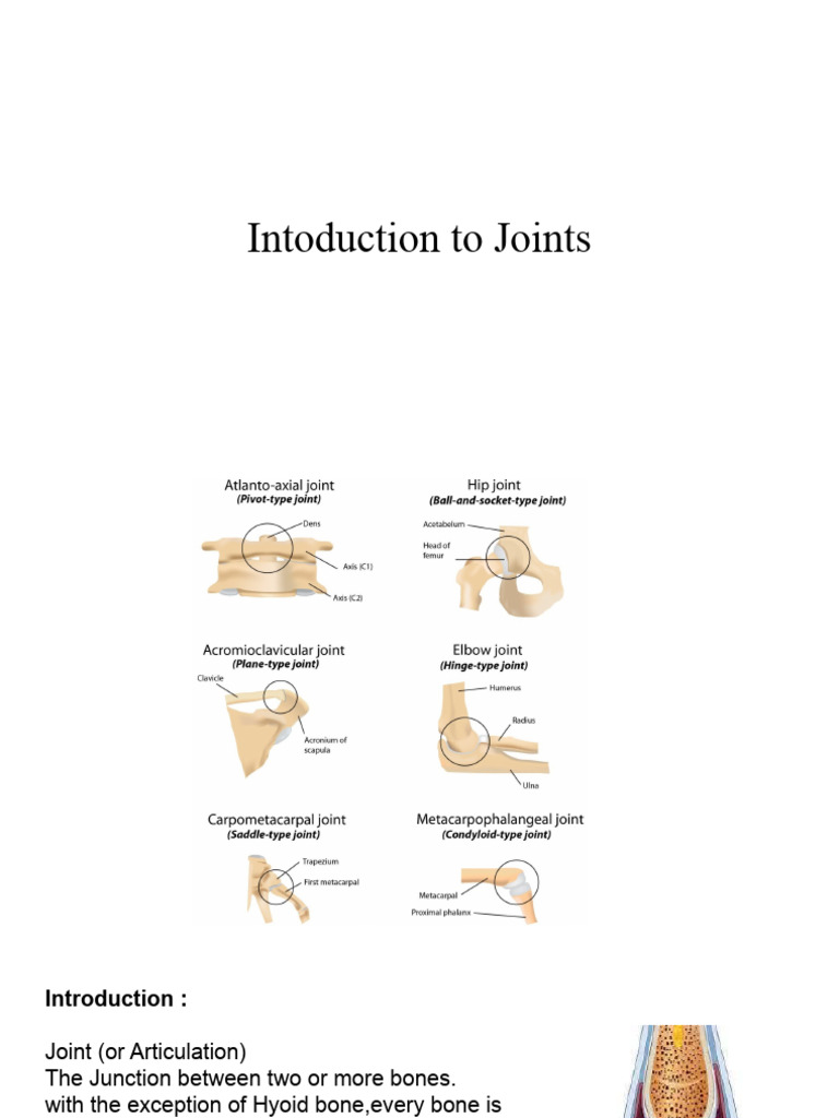 JOINTS | PDF | Joint | Cartilage