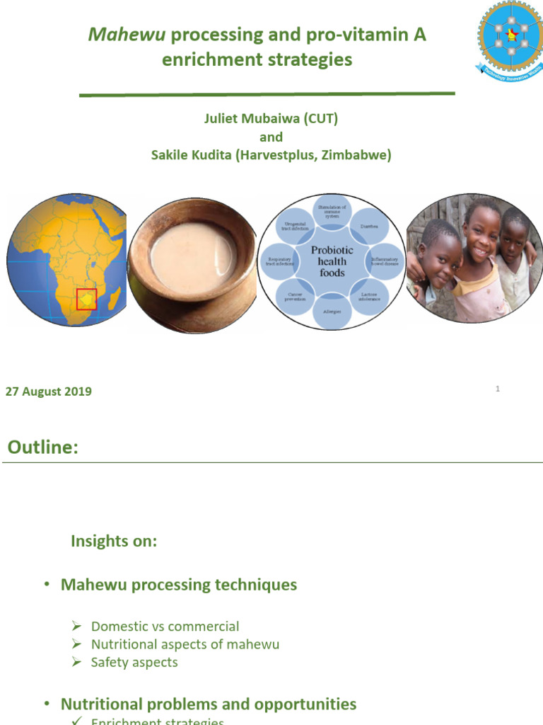 1642424482439_Juliet and Sakile -Mahewu and biofortification (1) | PDF