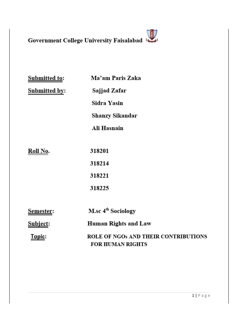 NGOs' Impact on Human Rights Advocacy | PDF | Médecins Sans Frontières ...