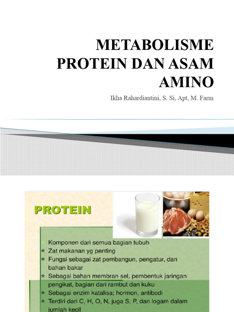 Metabolisme Protein dan Asam Amino | PDF