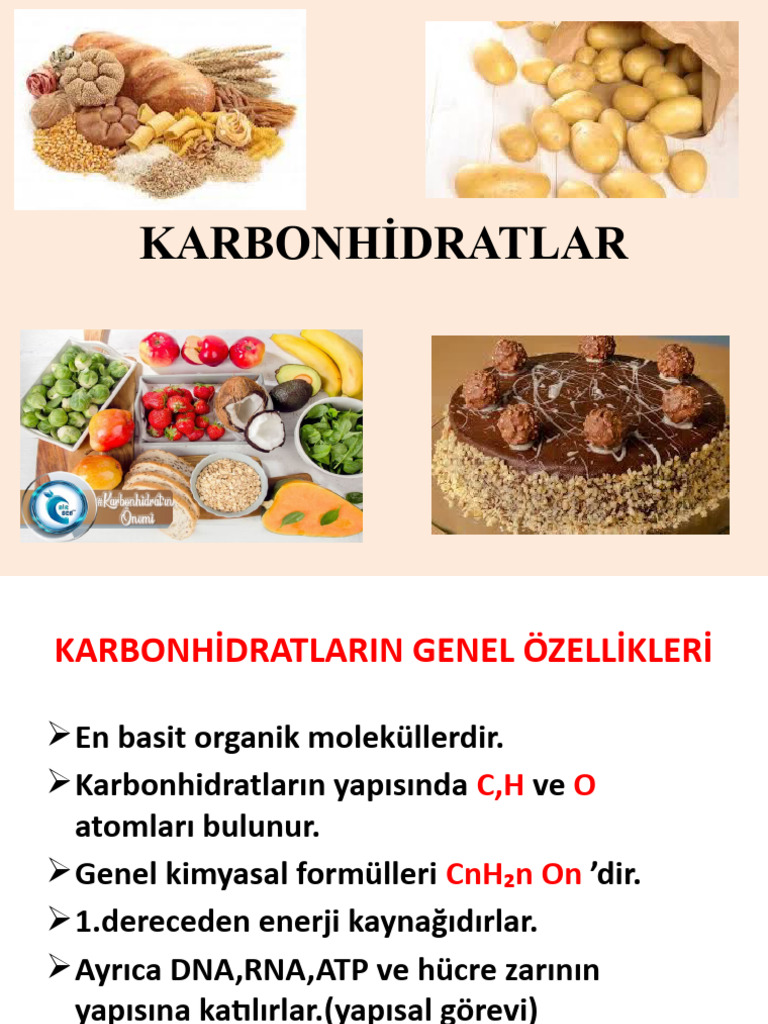 KARBONHİDRATLAR | PDF