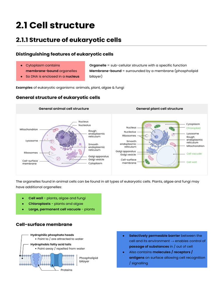 Cell-structure-notes | PDF
