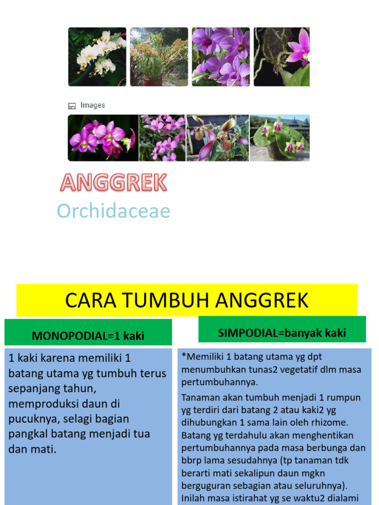 ANGGREK PPT - Lanjutan | PDF