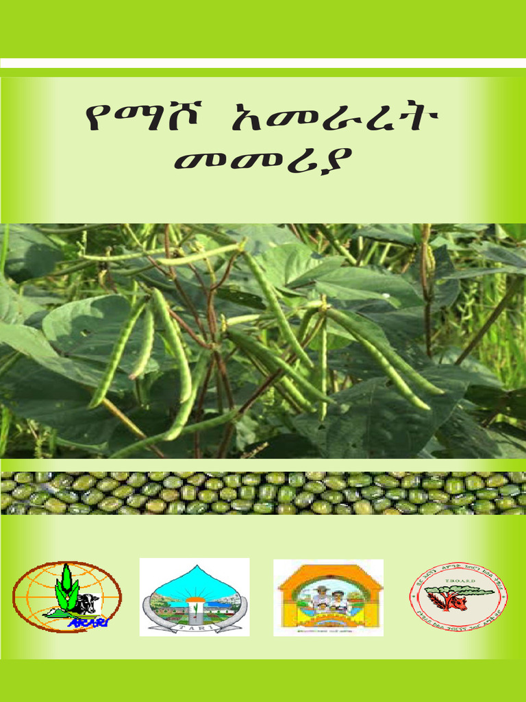 Mung Bean Production Guide Amharic | PDF