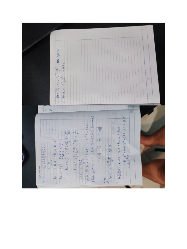 Mas291 Ass1 He172380 | PDF