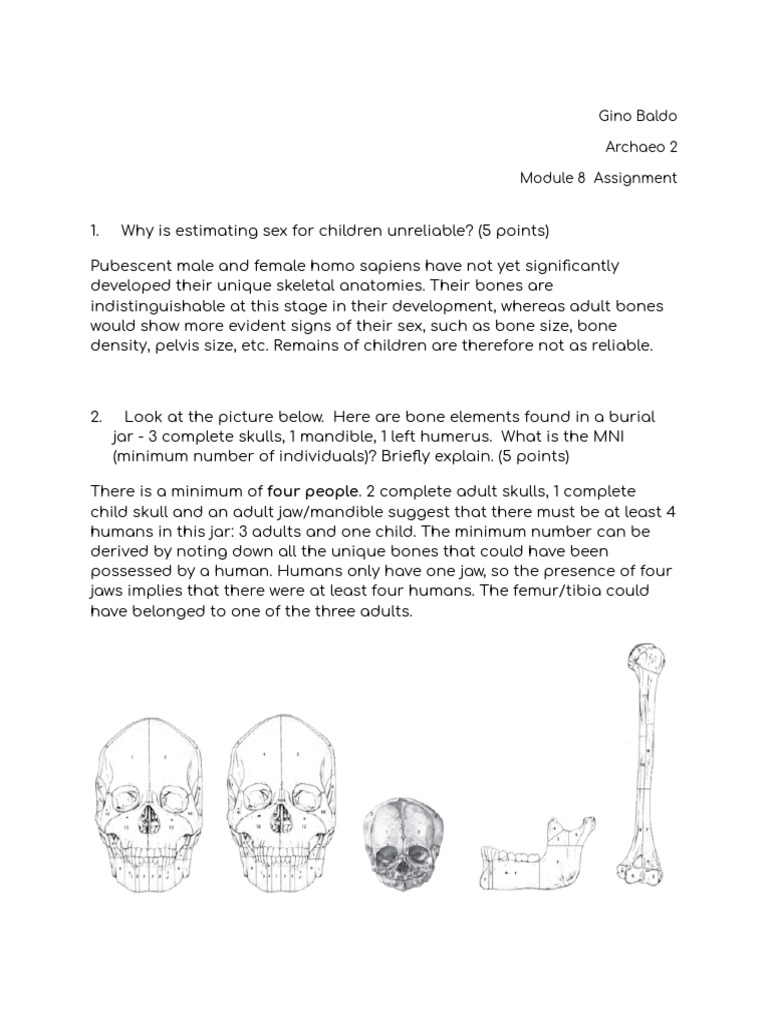 Gino Christian Baldo - Module 8 Assignment | PDF
