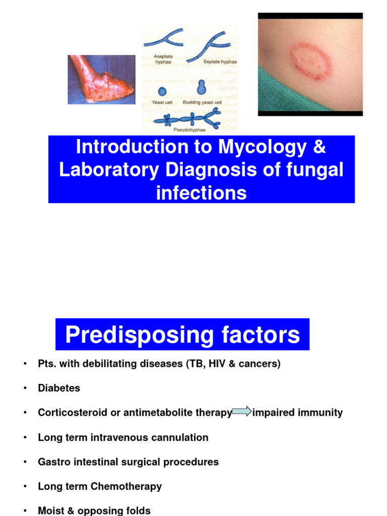Introduction To Mycology | PDF | Fungus | Cell (Biology)