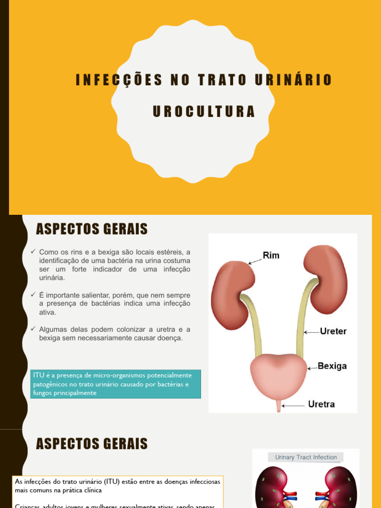 Uro Cultura | PDF | Infecção do trato urinário | Imunologia