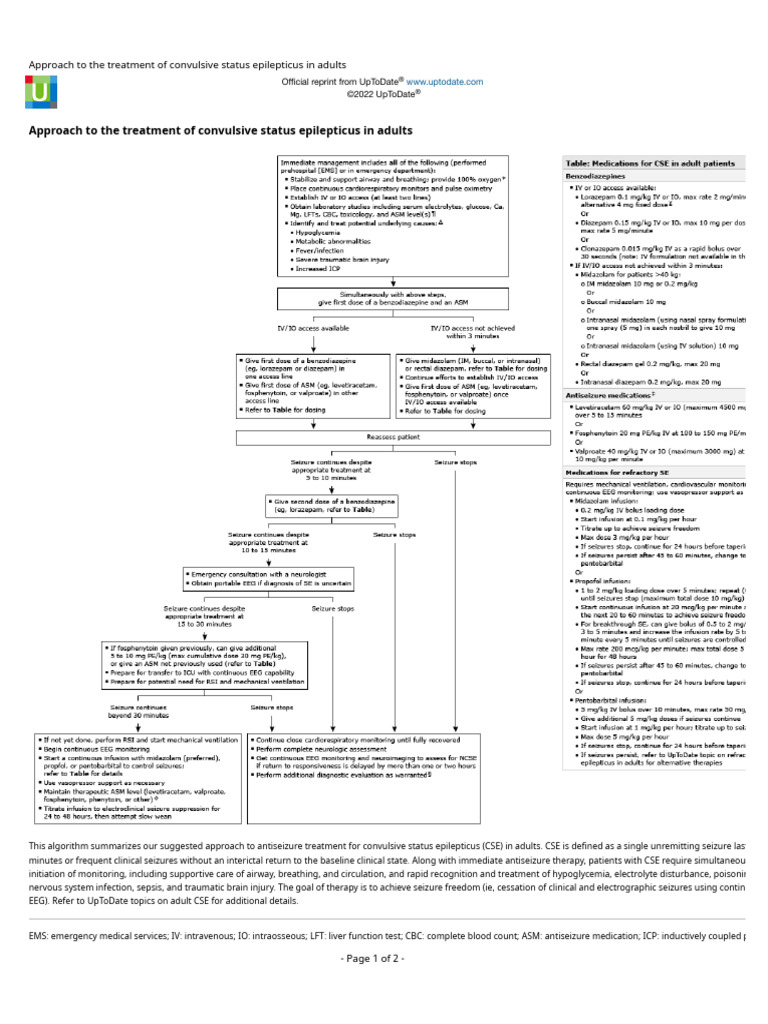 Approach To The Treatment of Convulsive Status Epilepticus in Adults ...