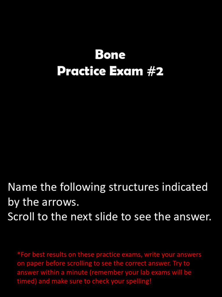 Bone Practice Exam 2 | PDF