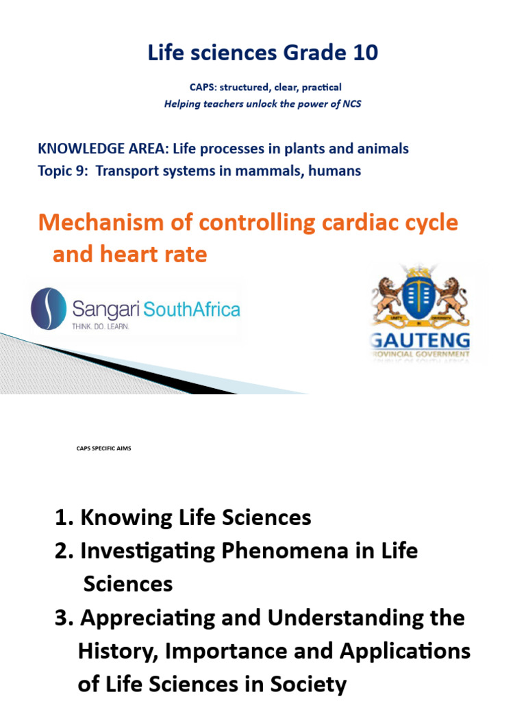 Pp16. Controlling Cardiac Cycle and Heart Rate | PDF | Atrium (Heart) | Ventricle (Heart)