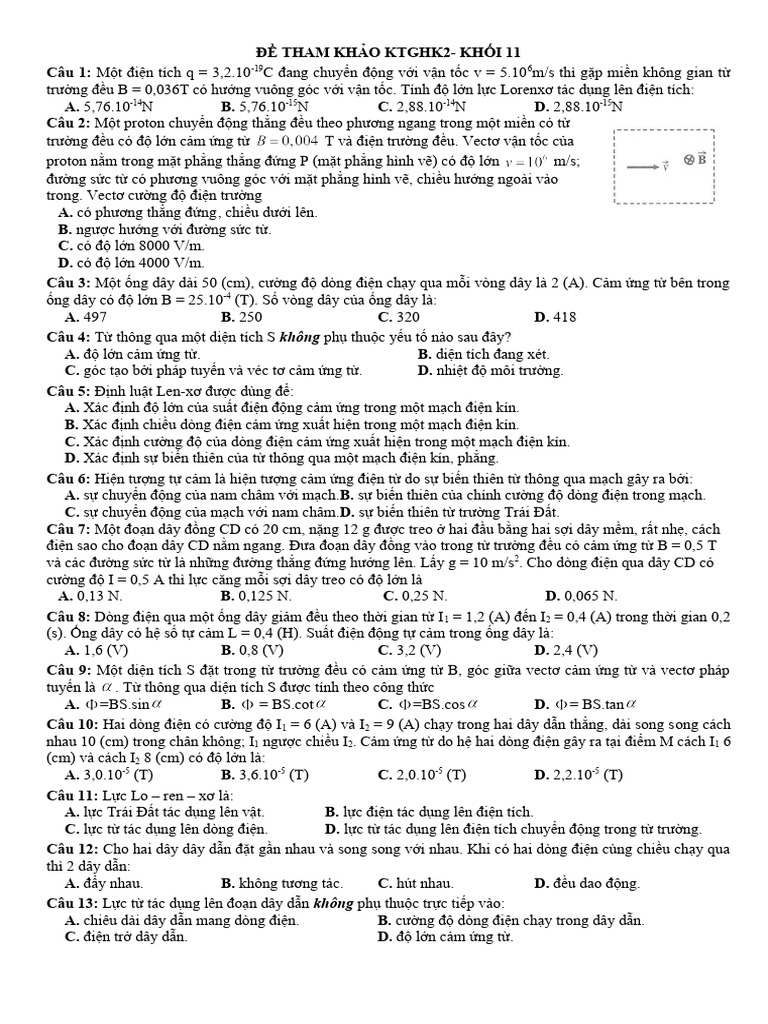 ĐỀ MẪU-KIỂM TRA GIỮA HỌC KÌ 2-K11 | PDF