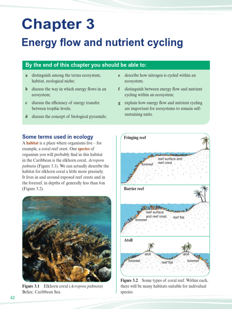 Biology For Unit 2 CAPE - Myda Ramesar - Chapter 3 - Energy Flow and ...