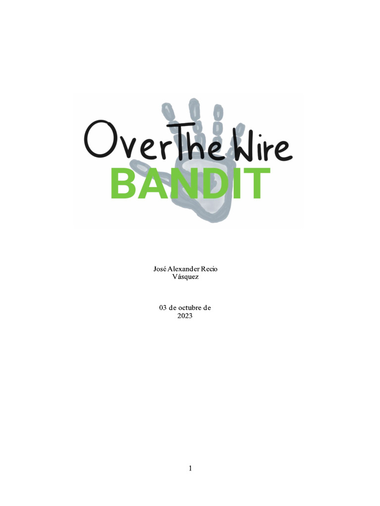 Informe Bandit | PDF