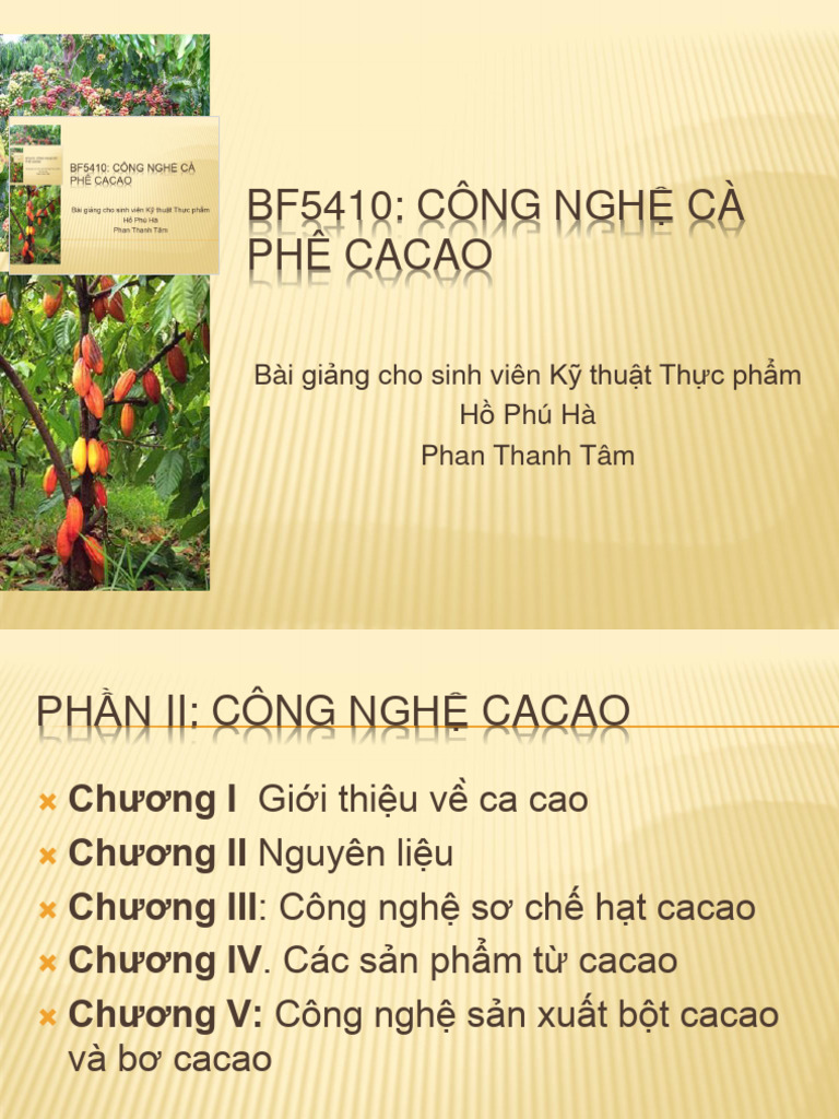 Cacao Bai 1 | PDF