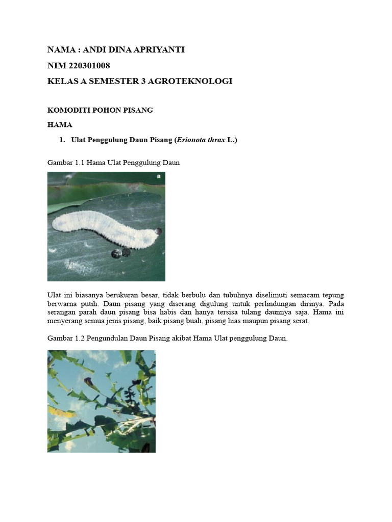 ANDI DINA APRIYANTI _220301008 | PDF