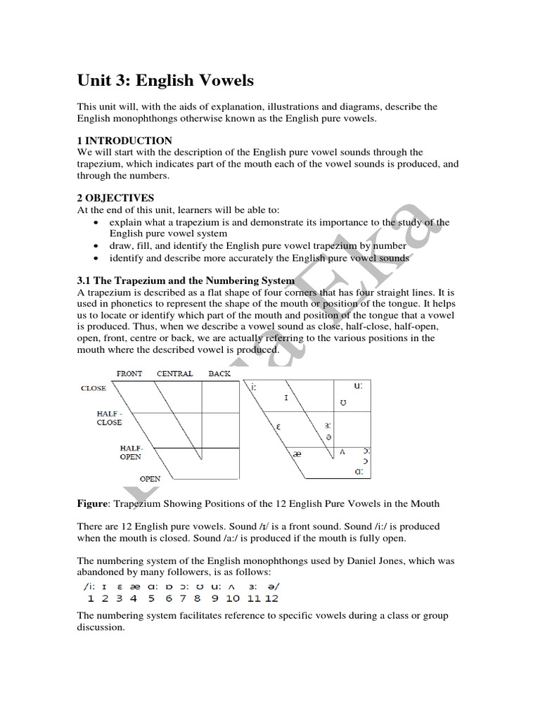 U3 English Vowels | PDF | Vowel | English Language