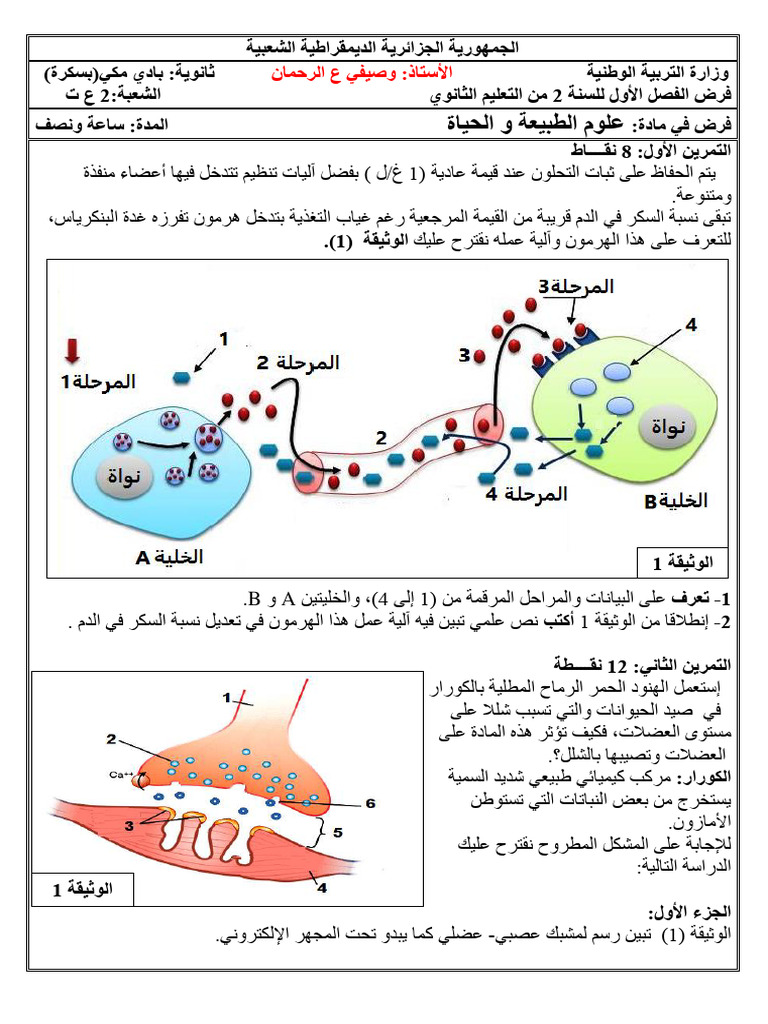 Dzexams 2as Sciences 1144144 | PDF