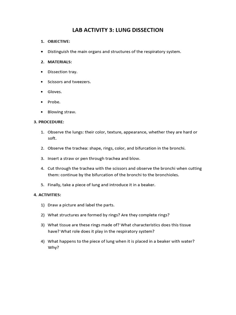 Lab Activity 3 Lung Dissection | PDF