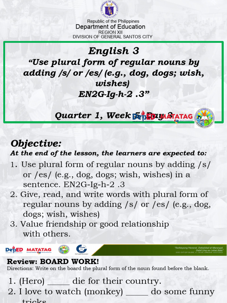 Plural Nouns Lesson for Grade 3 | PDF | Noun | Plural