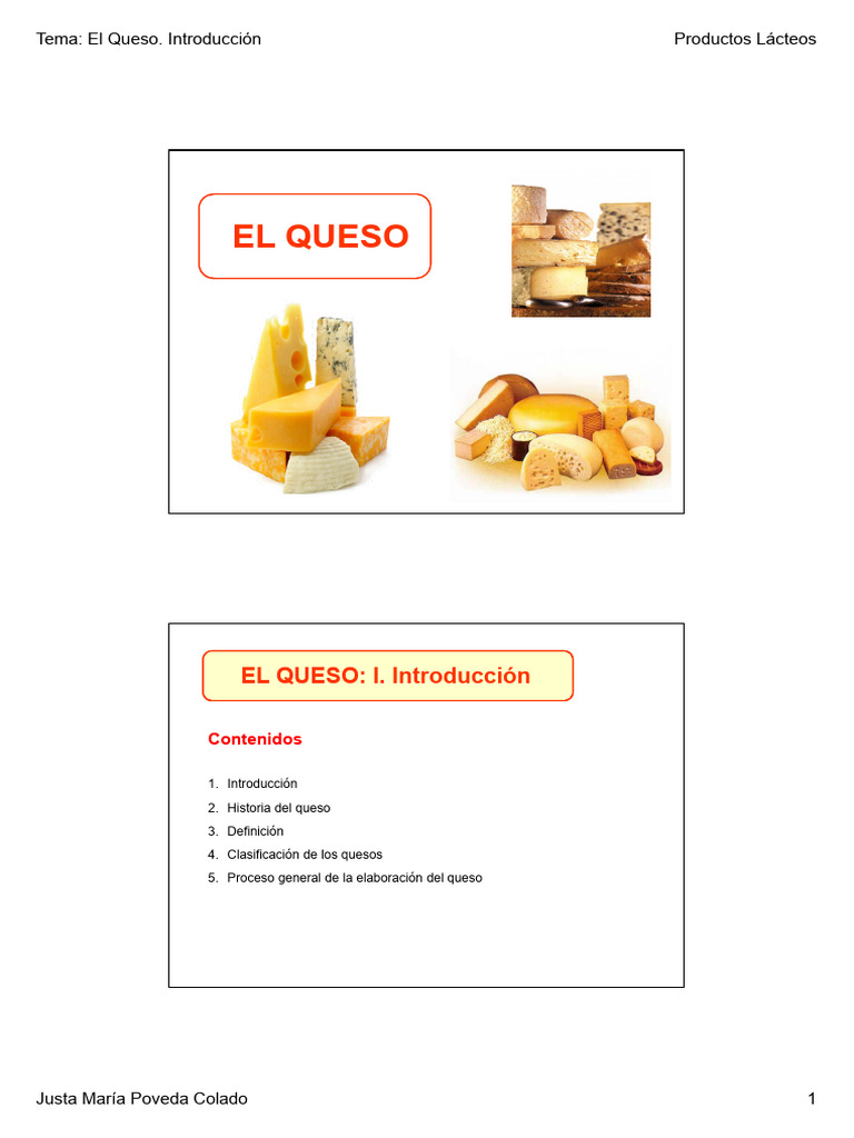 12-EL QUESO-Intro | PDF | Queso | Leche