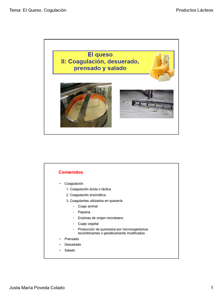 07 - II-EL QUESO-Coagulac-Desuerado-Salado | PDF
