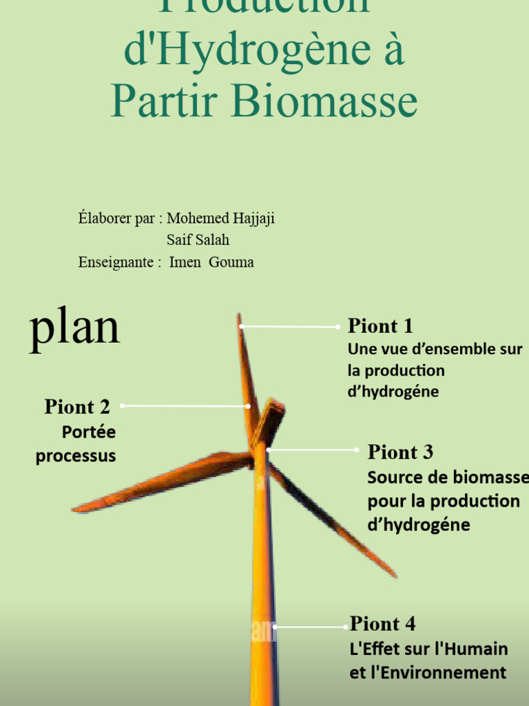 Production D'hydrogène À Partir Biomasse | PDF | Biomasse (énergie ...
