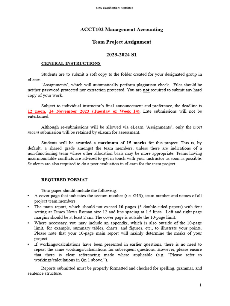 ACCT102 G13 Team Project Guidelines | PDF