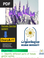 Female Reproductive Systems Rats | PDF | Ovary | Epithelium