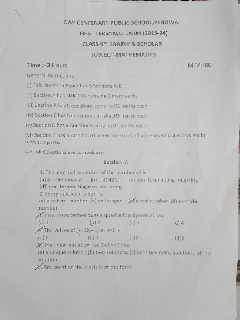 DAV Maths Paper | PDF