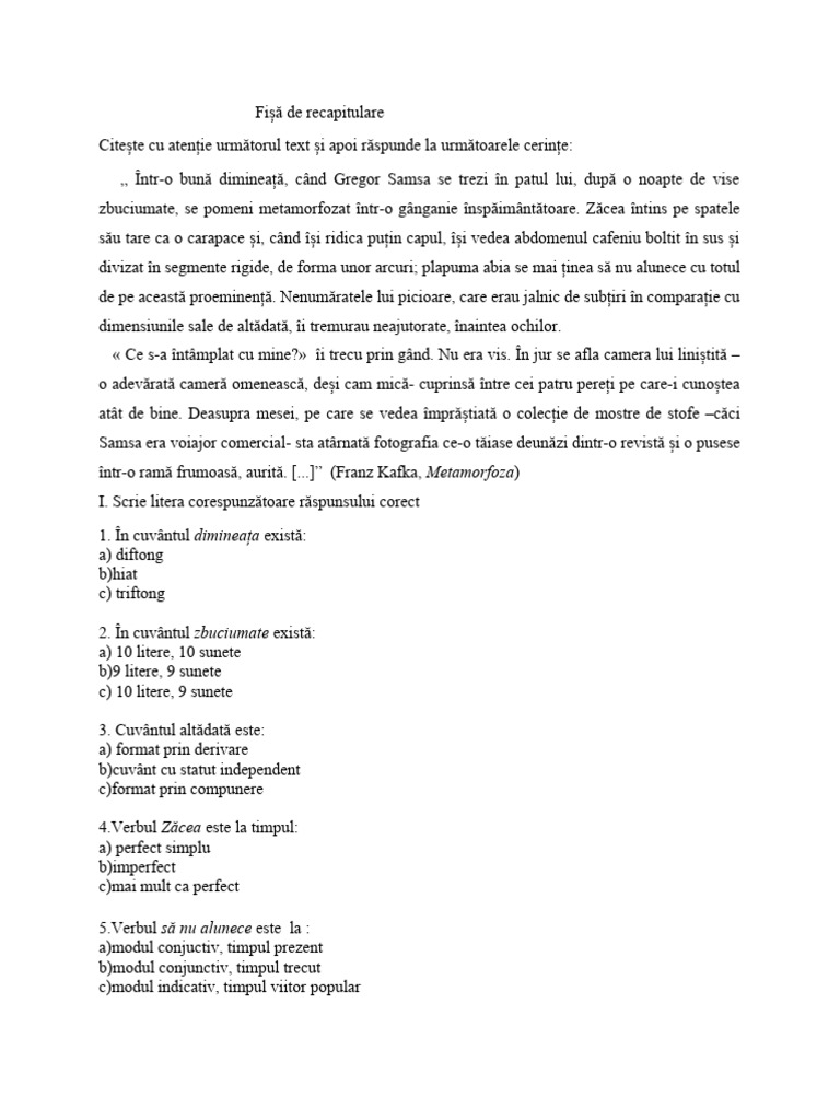 Fisa de Recapitulare | PDF