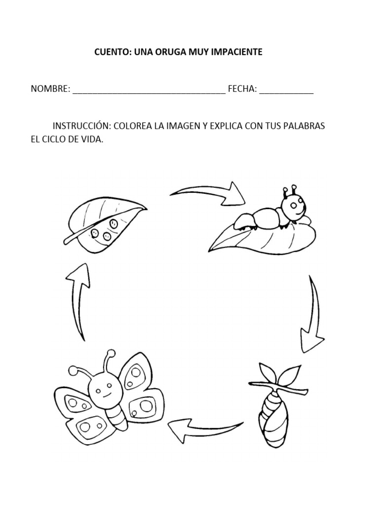 CICLO DE VIDA MARIPOSA | PDF