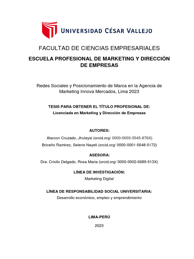 Alarcon CJ Briceño RSN SD | PDF | Marketing | Mercado (economía)