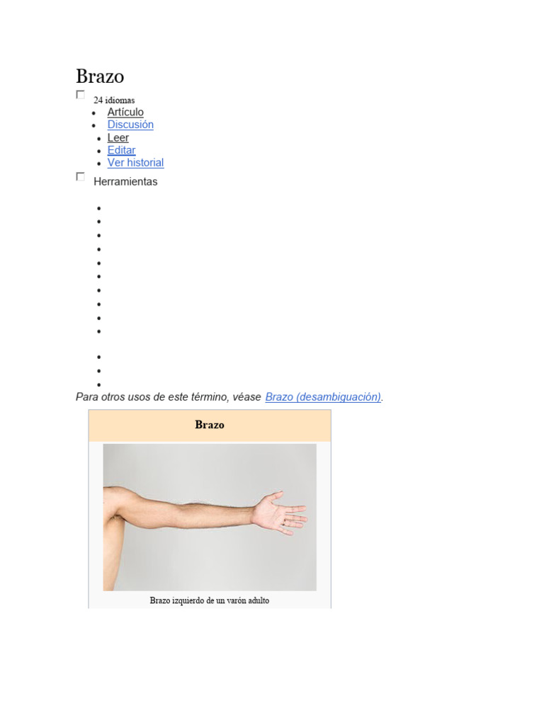 Anatomía y Funciones del Brazo | PDF